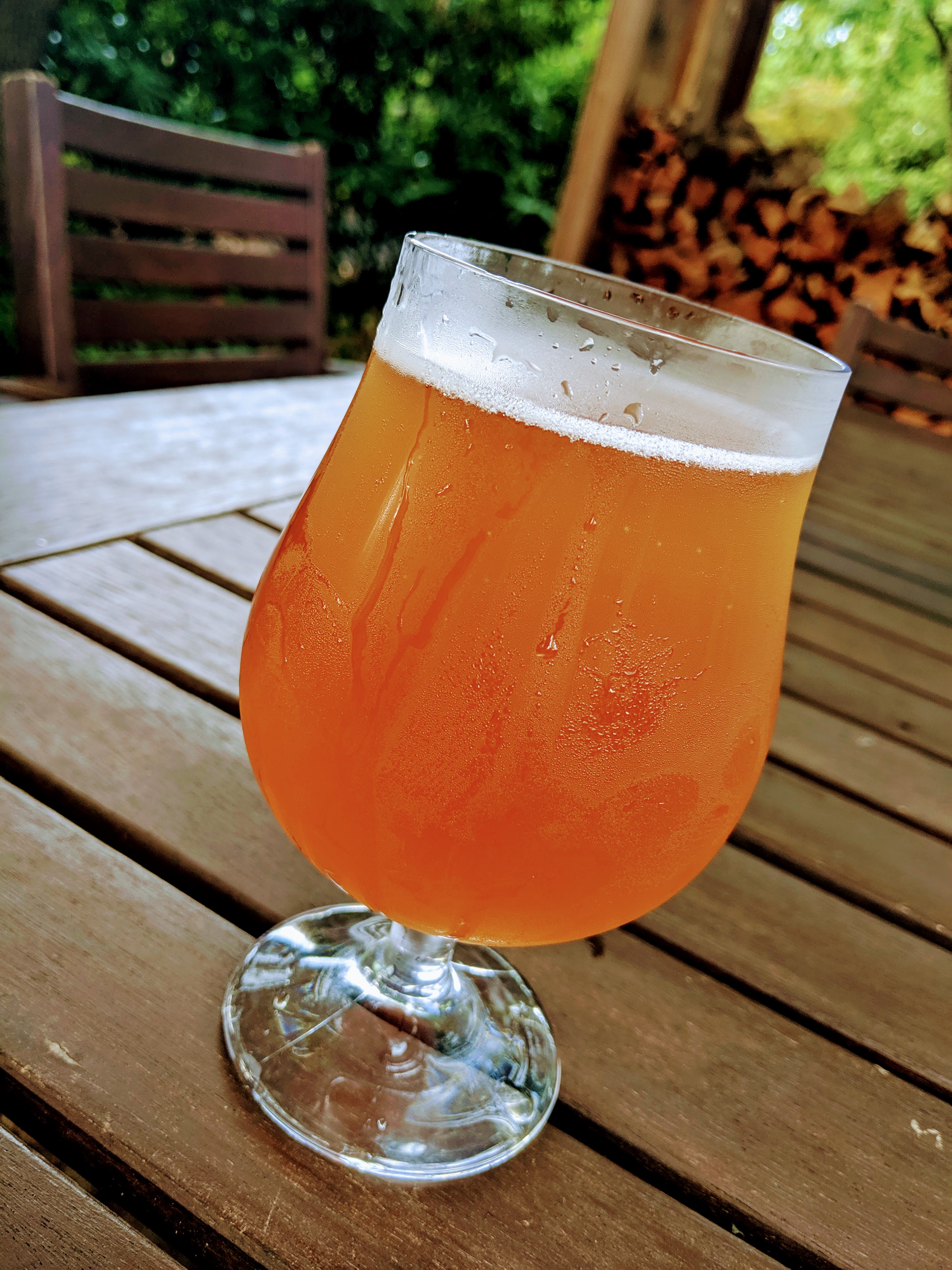 Ode to Beer (A Poem for National Beer Day) | A Virginia Writer's Diary