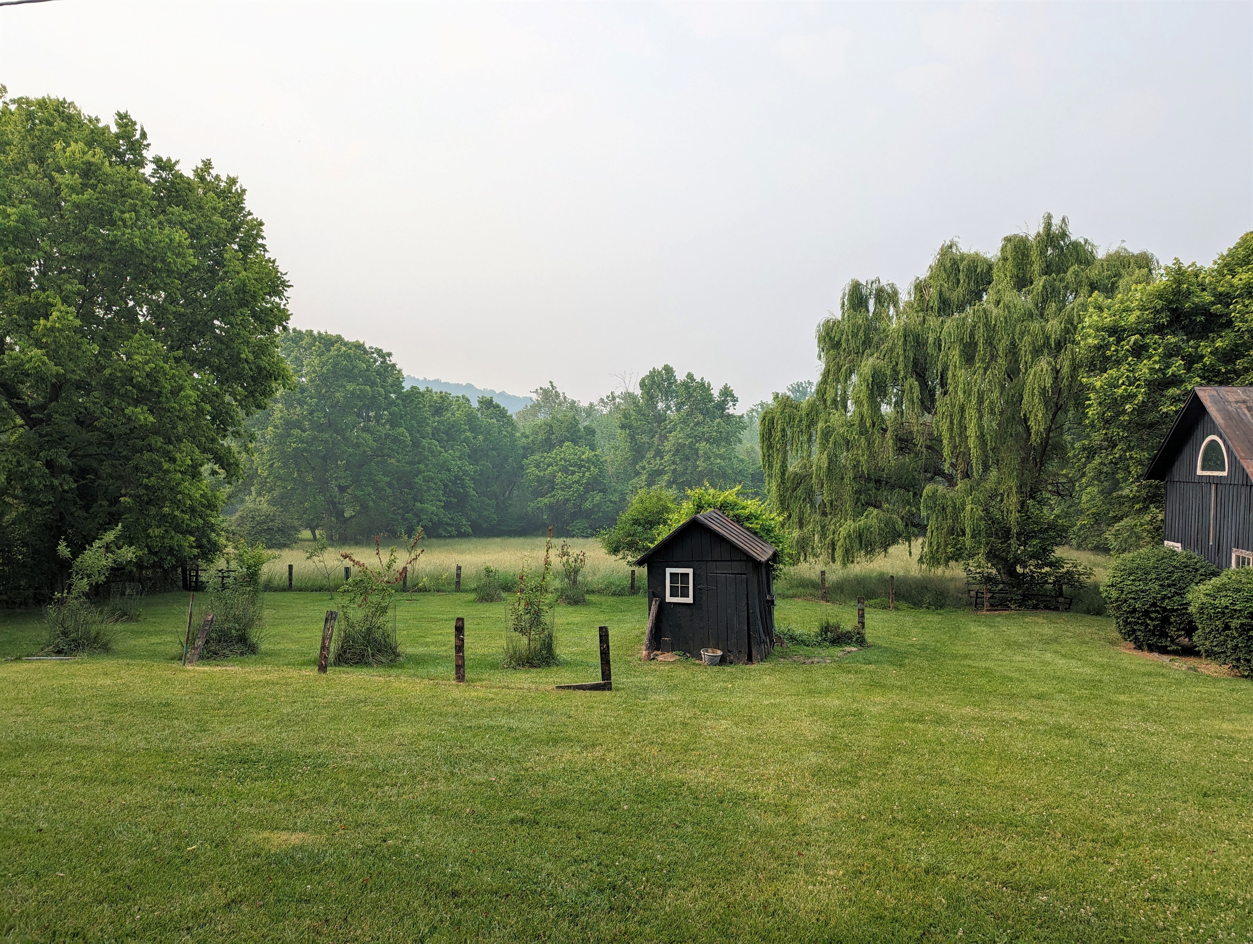 Smoke on the Mountain | A Virginia Writer's Diary