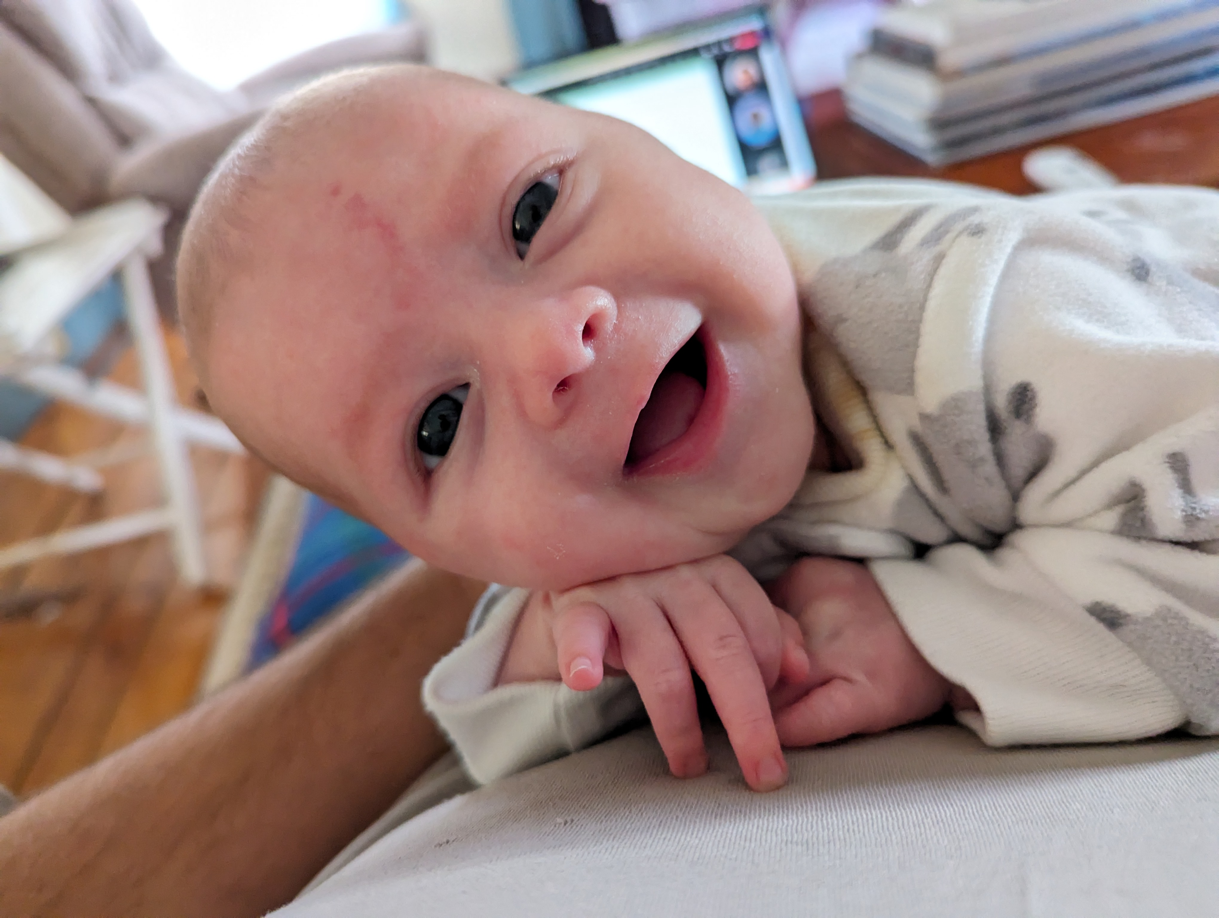 New Normal (A Poem) | A Virginia Writer's Diary