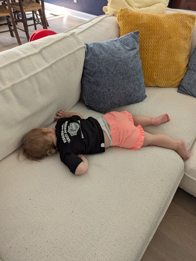 The Little Girl Who Would Not Nap | A Virginia Writer's Diary