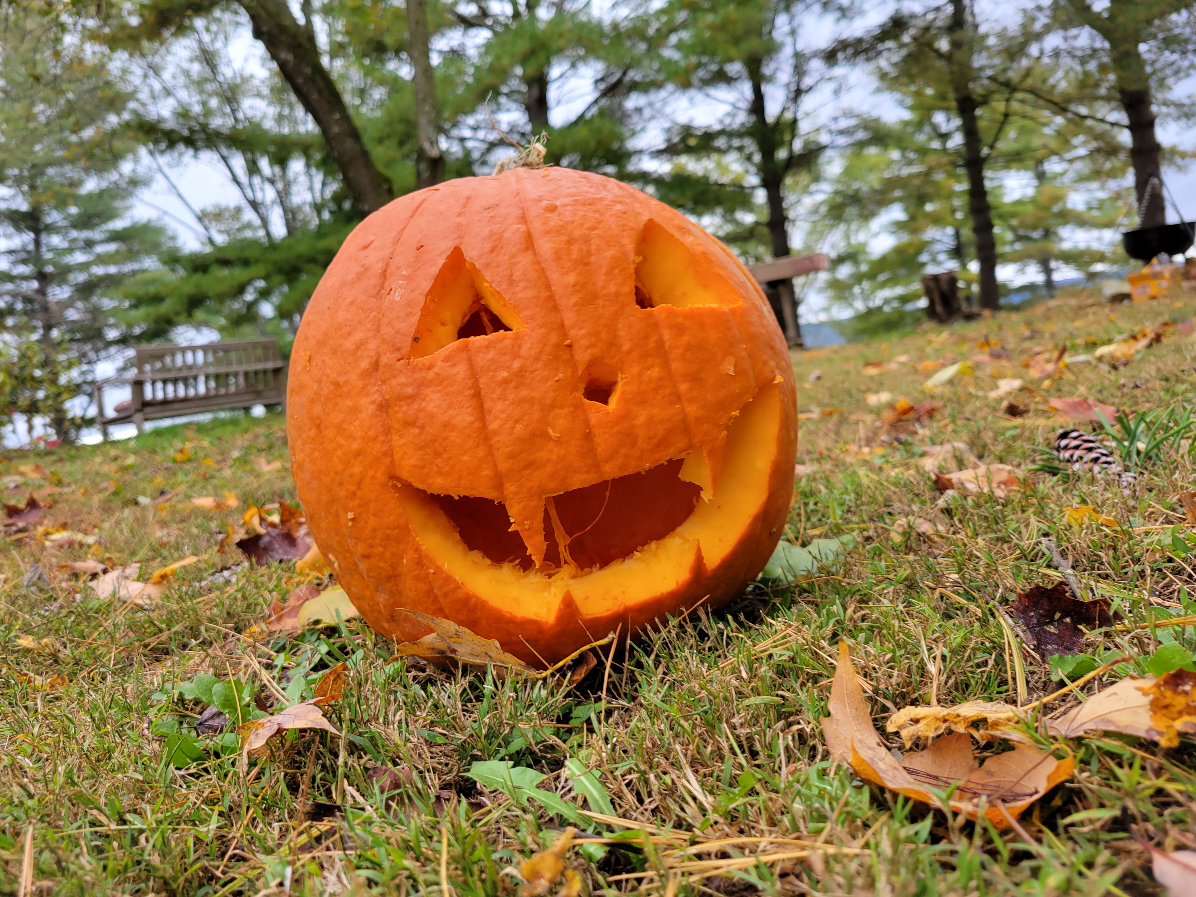 October Eve (A Poem) | A Virginia Writer's Diary