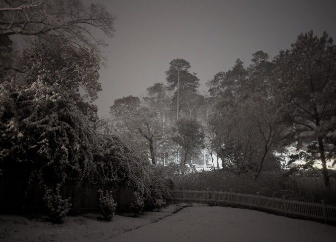 (Almost) Wordless Wednesday: A Snowy Surprise | A Virginia Writer's Diary